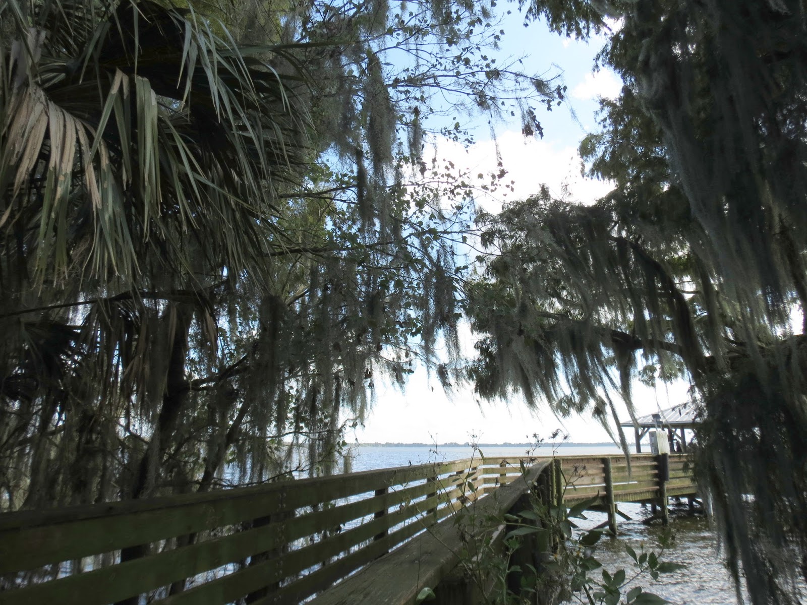 Viewing nature with Eileen: Circle B Bar Reserve