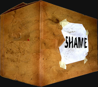 The Box of Shame - The Sustainabilitree