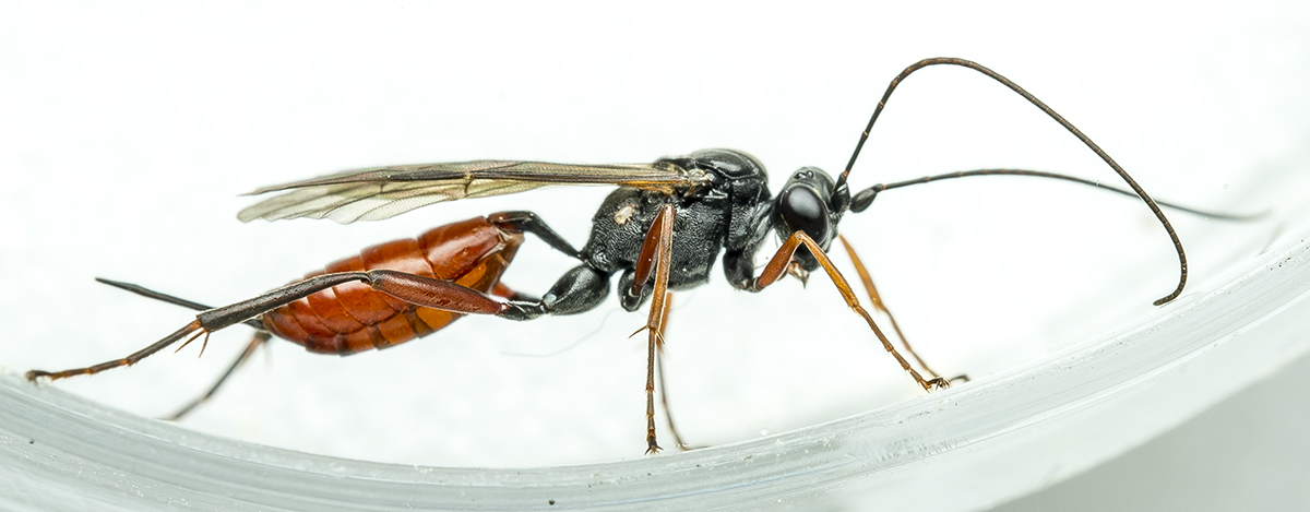 Utgångspunkt 63° 31,x' N - 22° 31,x' O