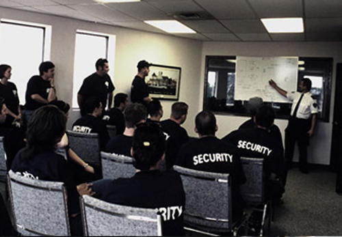 Are you Looking for Security Guard? We assure Best Security Guard Services