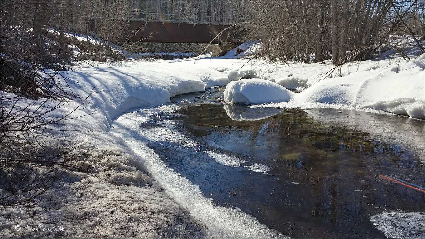 Northern Interior British Columbia: Spring Is In The Air Thawing ...