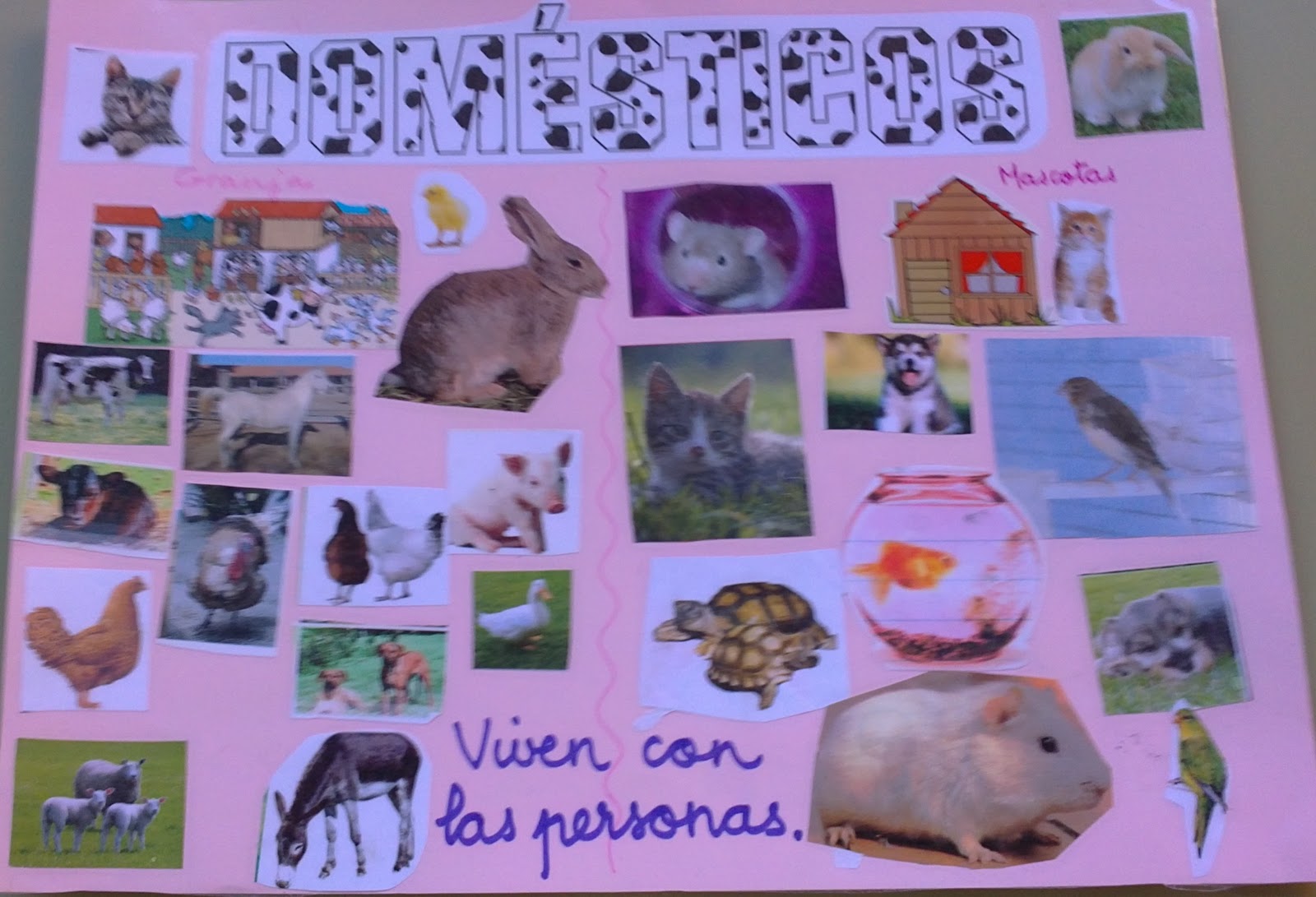 Mil recursos: LÁMINAS ANIMALES