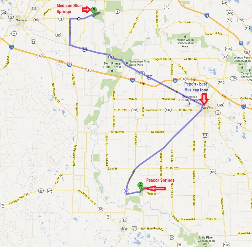 States of Immersion - A Florida Cave Diving Adventure: Madison Blue