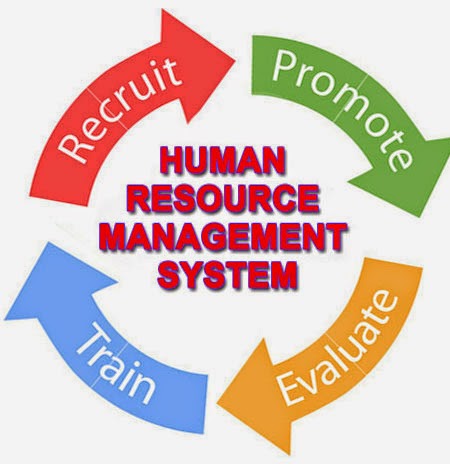 Online HR Software: Why EmployWise is the Best?
