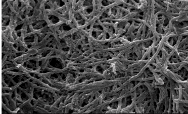 *UPDATE* No More Gore-tex!!