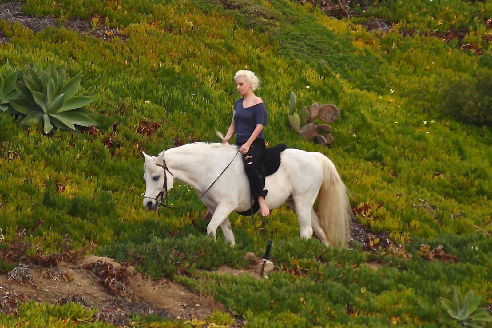 Lady Gaga Riding Her Horse in Malibu, CA - Little Monsters Official