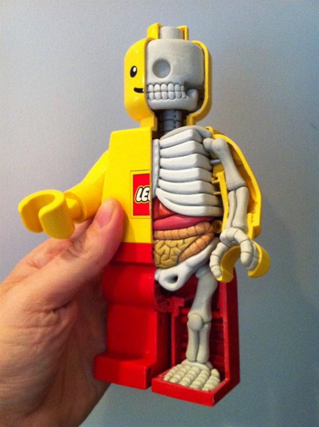 Cuerpo humano de Lego