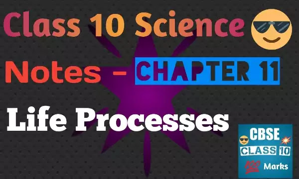 Class 10 Science Chapter 6 Life Processes Notes | NCERT Class 10