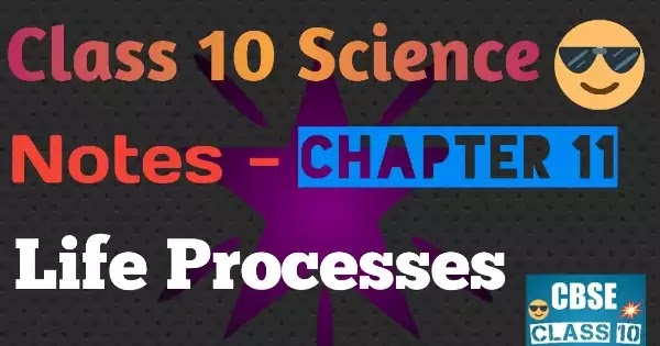 Class 10 Science Chapter 6 Life Processes Notes | NCERT Class 10