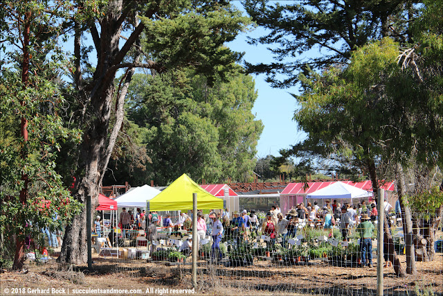 Fall plant sale at UC Santa Cruz Arboretum