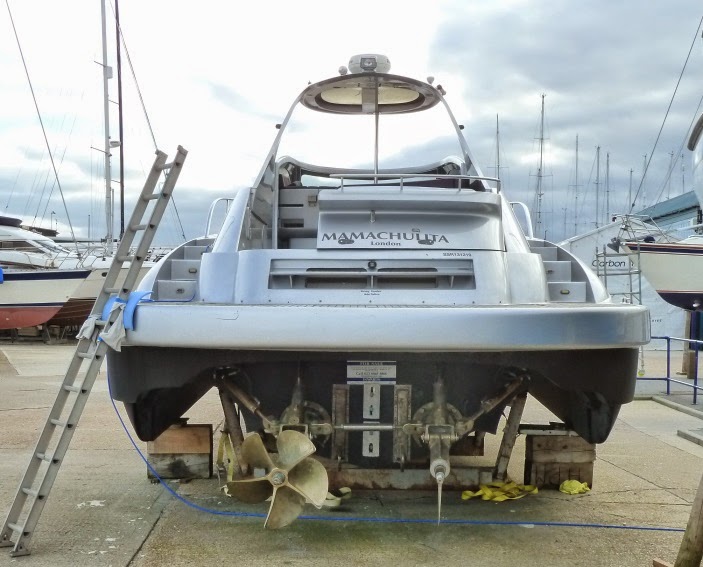 Bursledon Blog: Bladerunner