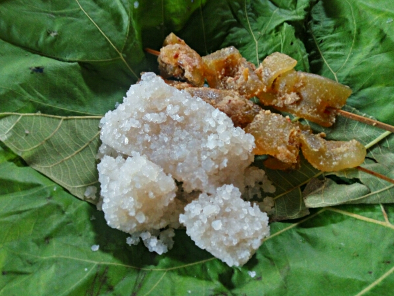 Review Film Pendek Pecel Horog-Horog - Gorilla Girl and Rawr