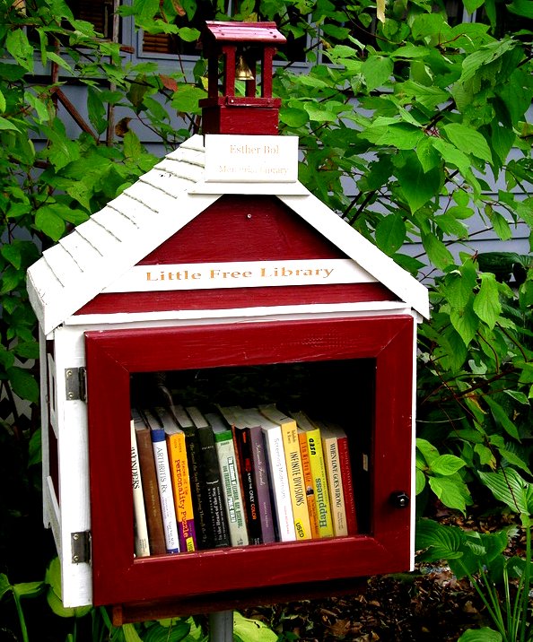 The Flying Tortoise: How To Have Your Own Free Tiny Public Library...