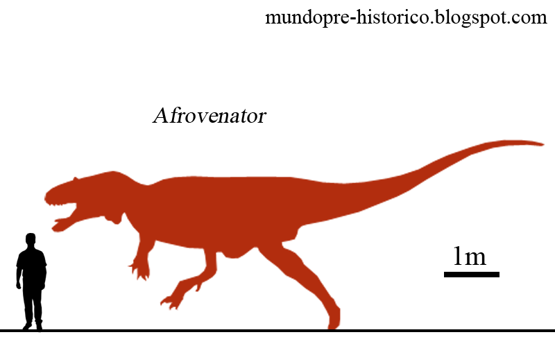 Mundo Pré-Histórico: Afrovenator