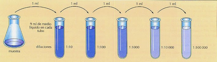 Bacteriología Visual.