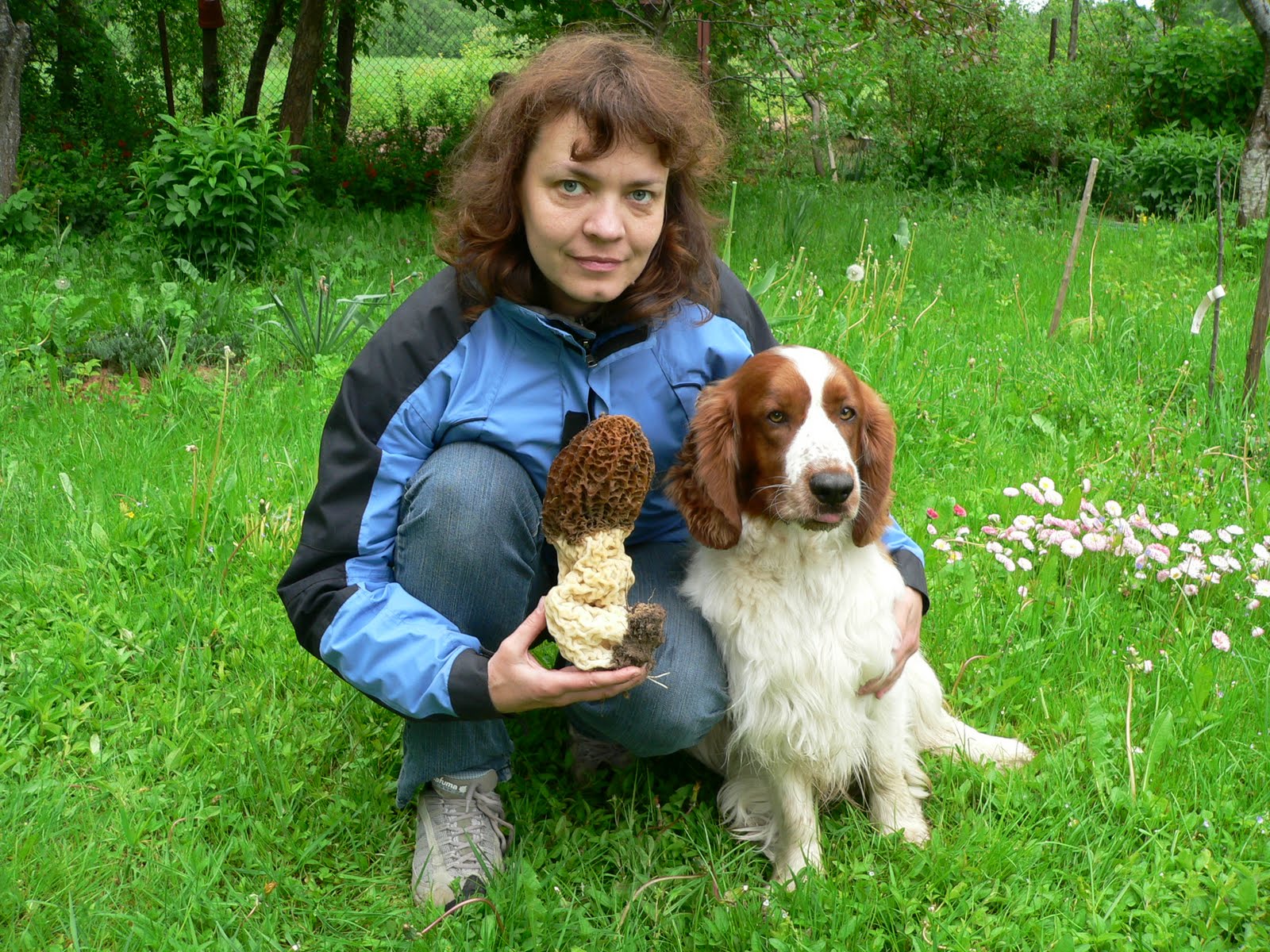 Latvijas Dabas muzeja blogs: Ēst vai neēst – tāds ir jautājums