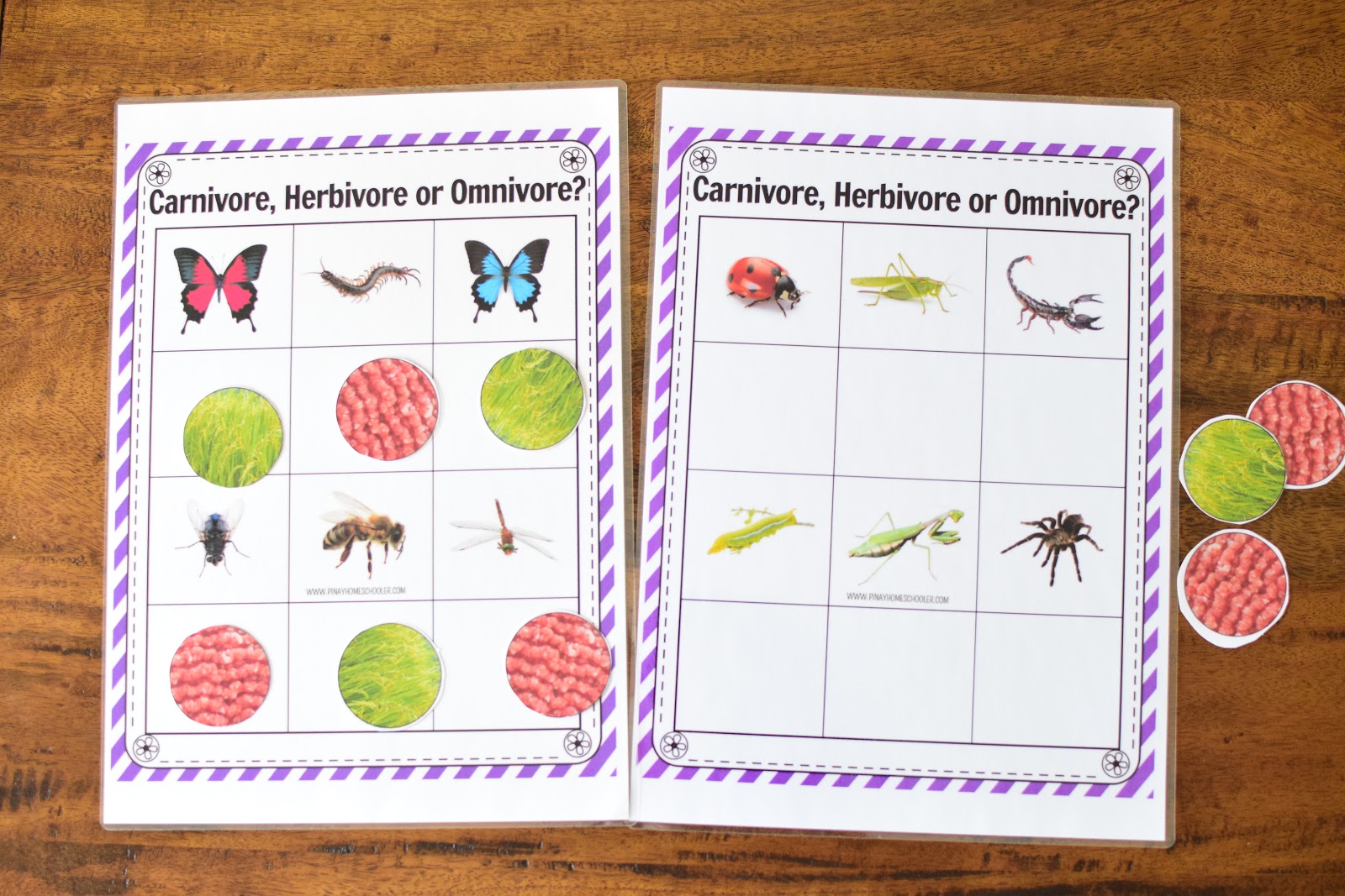 Insect Themed Lesson Plans for Kindergarten to First Grade | The Pinay ...