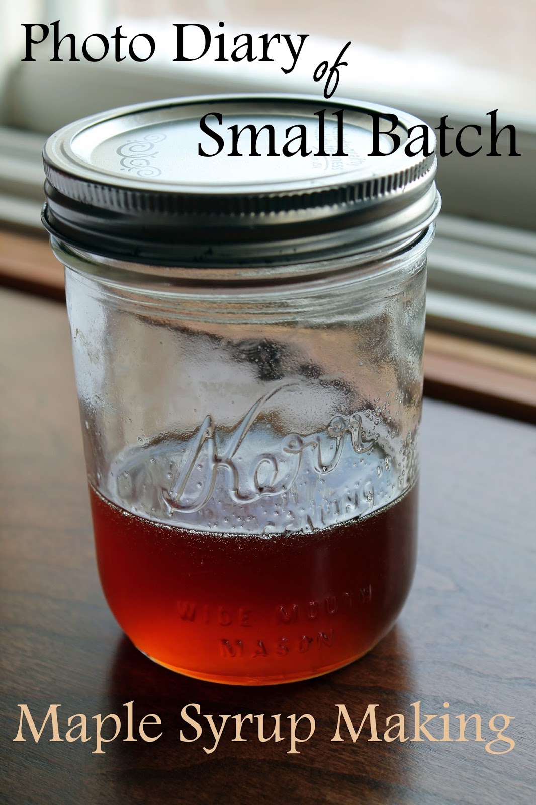 CAMP HOMESCHOOL: EXTREMELY small Batch Maple Syrup Making