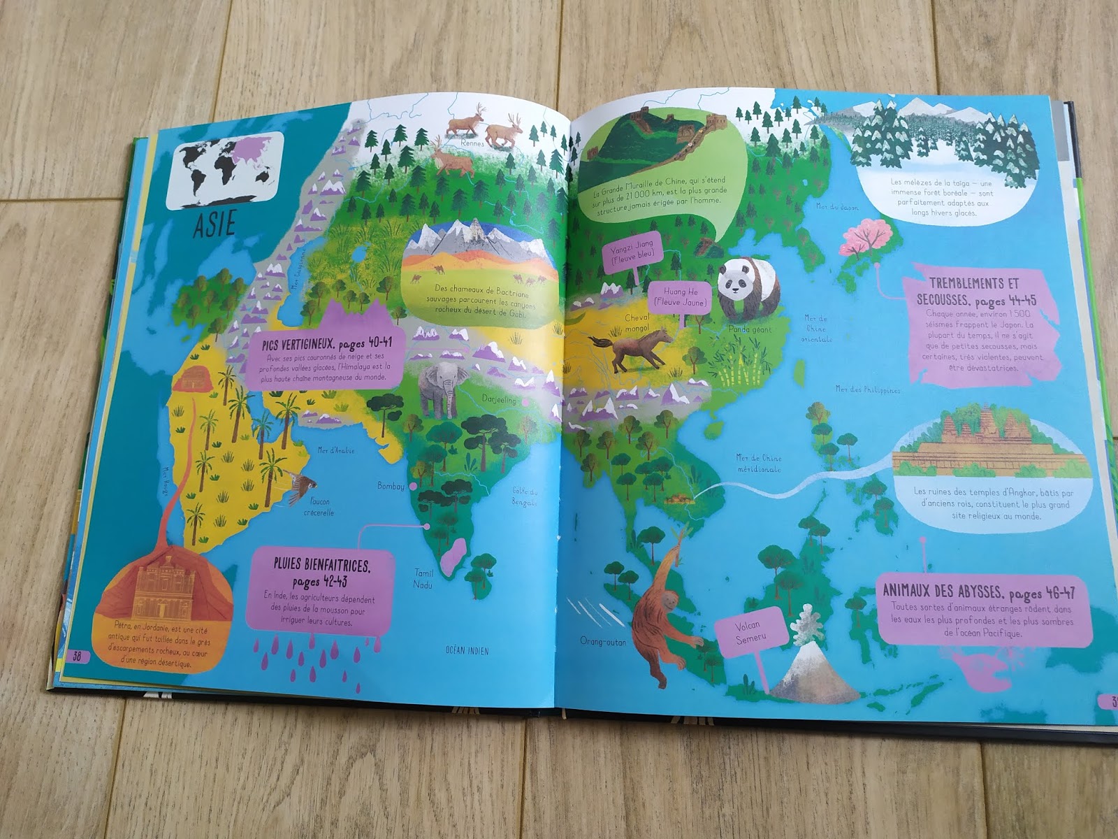 Les nouveautés Usborne : puzzle de l'Europe, livre illustré sur la ...