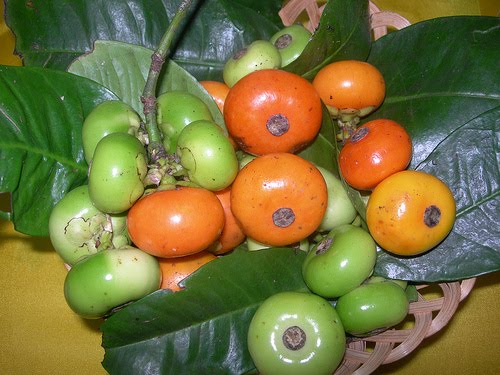 Mengidam Buah Yang Sukar Diperolehi | Detik Detik Indah Dalam Hidupku