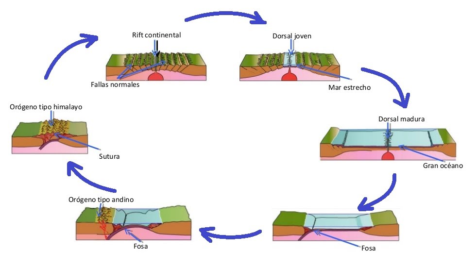 Biología y Geología : Ciclo de Wilson