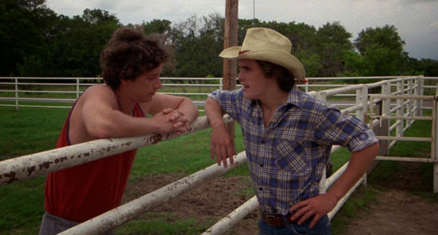 Radiator Heaven: Tex