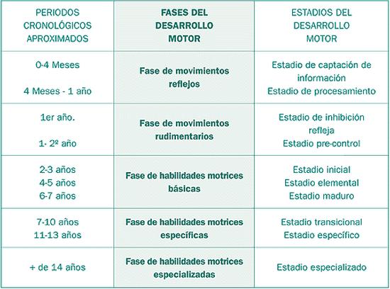 Etapas del desarrollo motor - Imagui