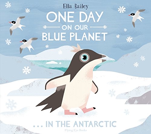 Children's Books About Antarctica - Every Star Is Different