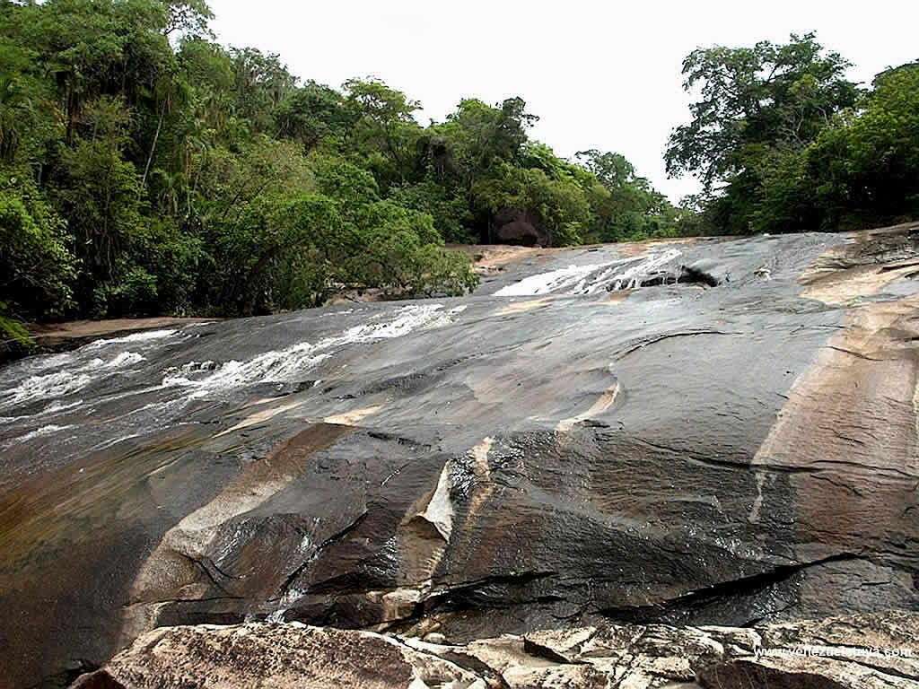 cuenca del caura: CUENCA DEL CAURA