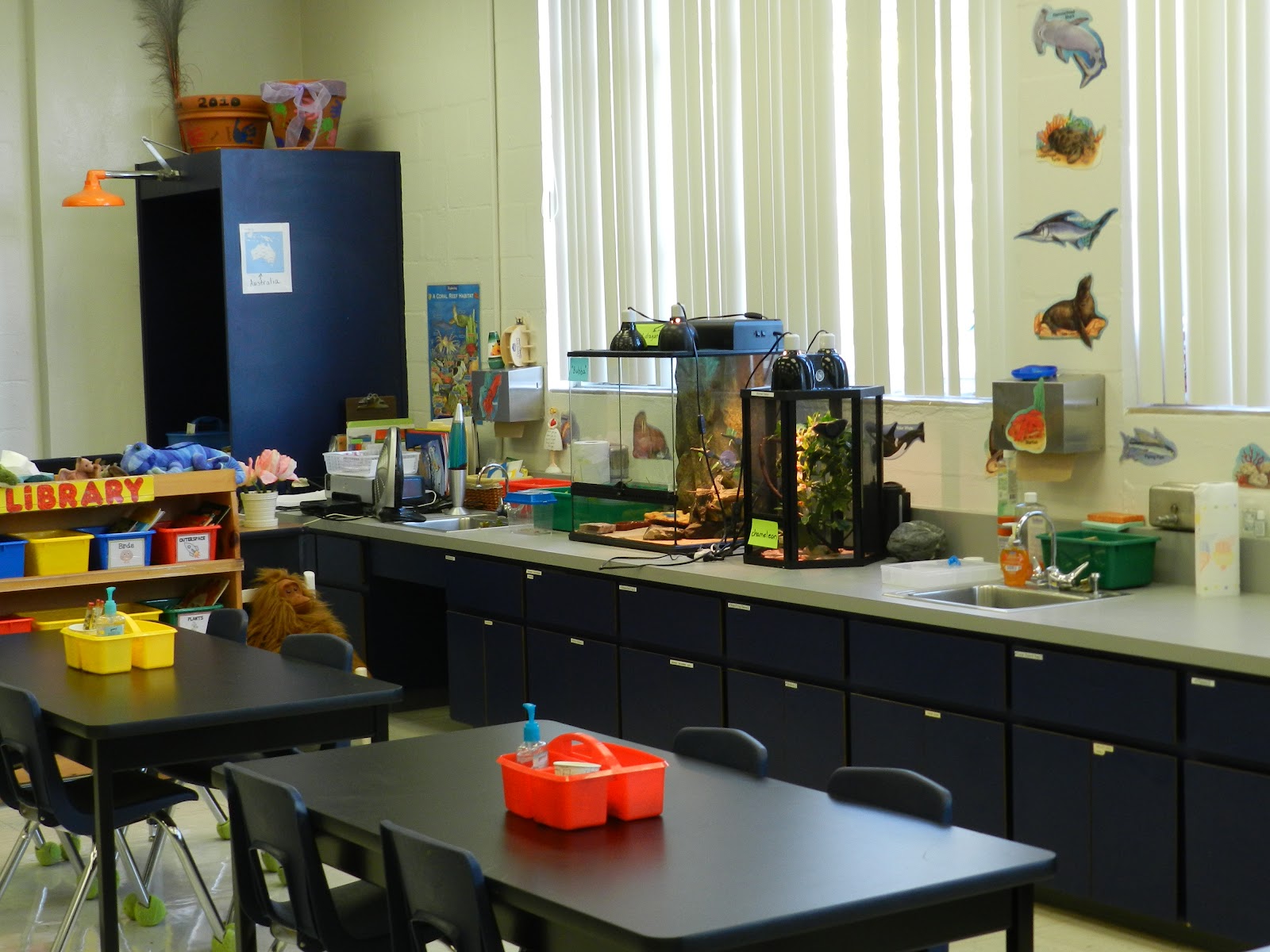 My Lab | Superlative Science