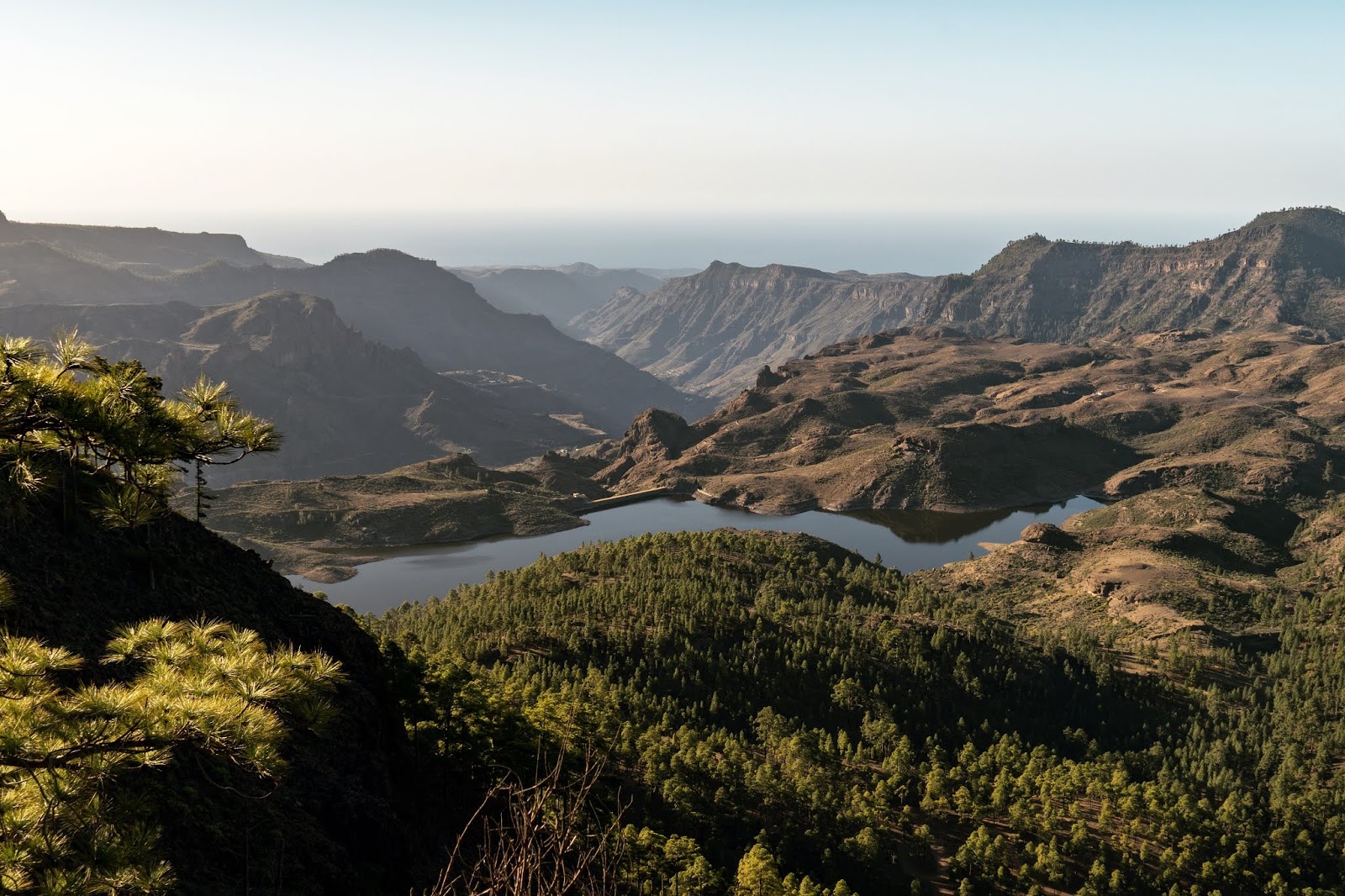 Wandern auf Gran Canaria – Von El Juncal ins Naturschutzgebiet Pajonales