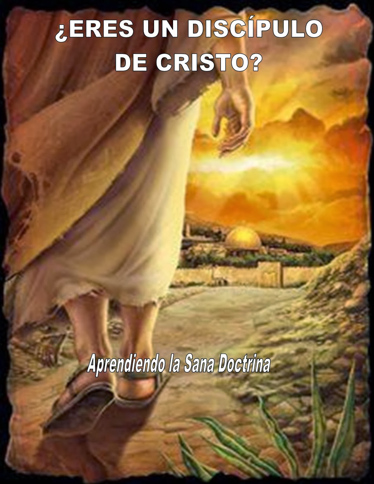 Aprendiendo la Sana Doctrina: ¿ERES UN DISCÍPULO DE CRISTO?