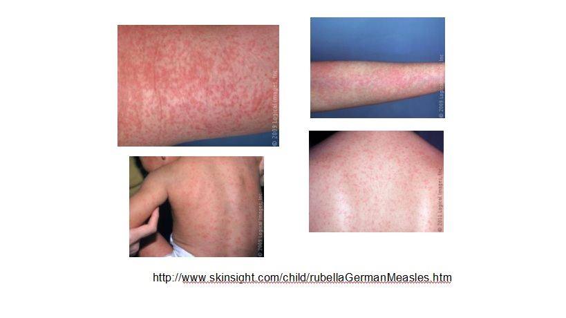 Doctor Kid: Lecții de pediatrie pentru părinți: 2015