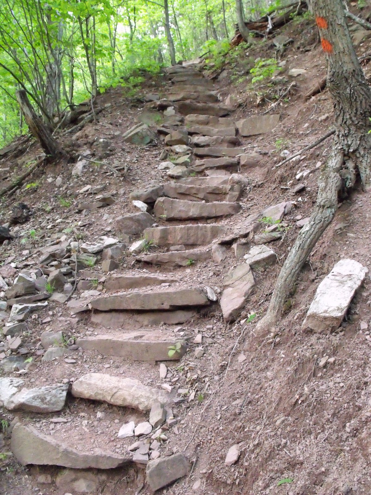 Discovery PA: 1000 Steps Hiking Trail