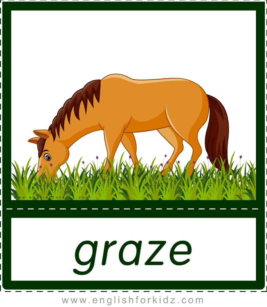 Printable Flashcards: Animal Actions. Part 2.