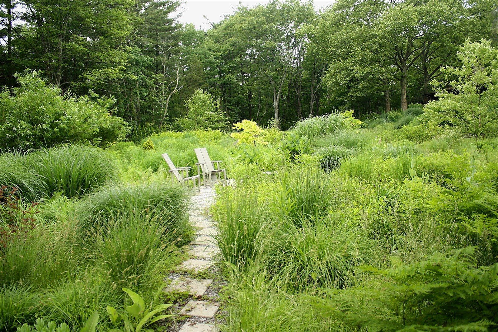 View from Federal Twist: Contemplative Garden