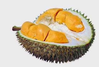 Gambar Buah Durian Lengkap | Info Buah Durian