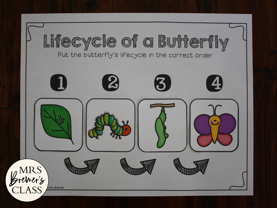 The Very Hungry Caterpillar | Mrs. Bremer's Class