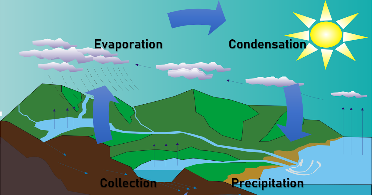SmartArt Graphics Cycle, Hierarchy Name and title Organizational Chart ...