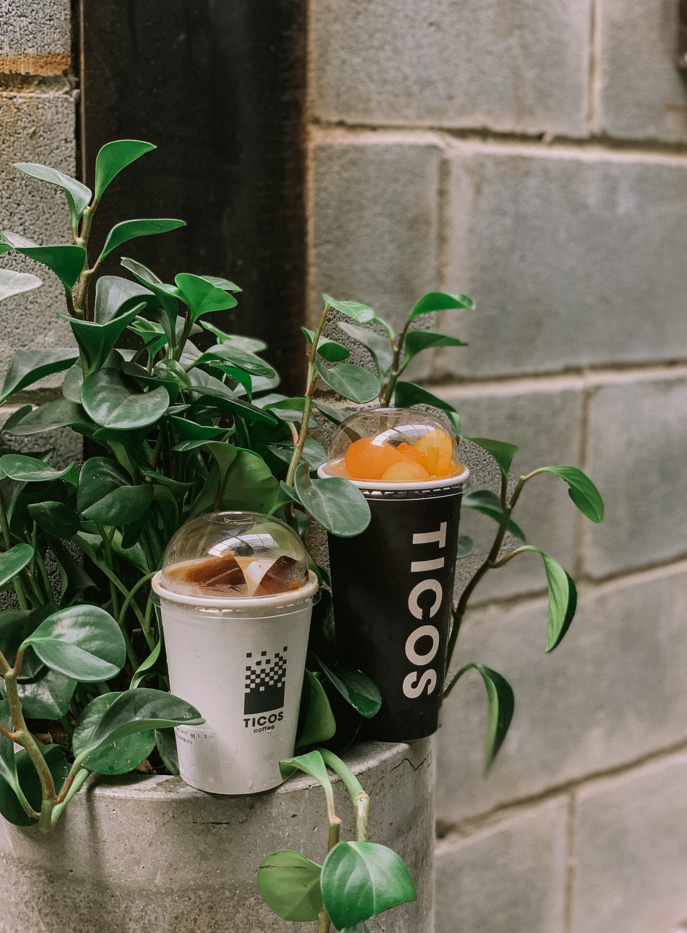 Ticos Coffee Gò Vấp - Quán cafe mang phong cách nhẹ nhàng