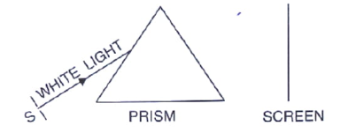 Selina Concise Ch 6 Spectrum of Light ICSE Solutions Class 10 Physics