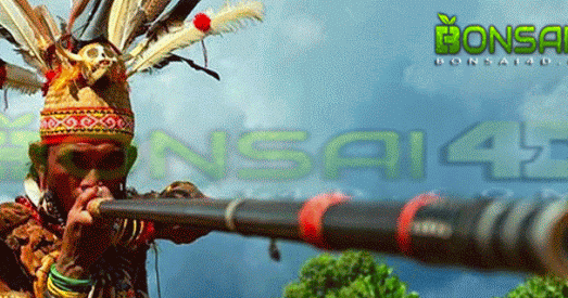 "Sumpit", Senjata Mematikan Suku Dayak