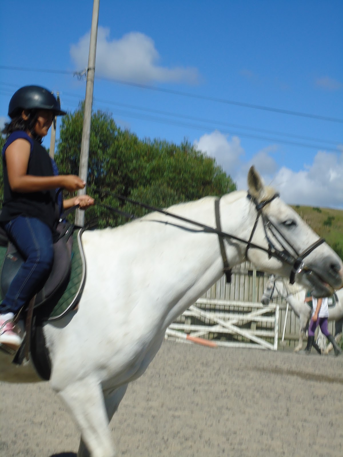 Room 23: More of Sonshine Ranch