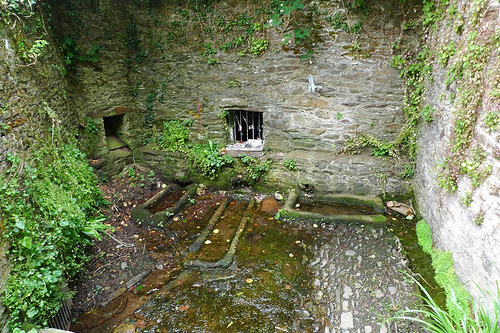 Old Well In Totnes Devon - Britain All Over Travel Guide