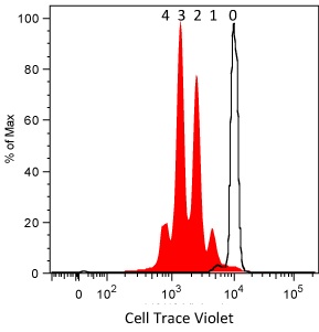 BTB# 13: Dye dilution method for understanding cell proliferation
