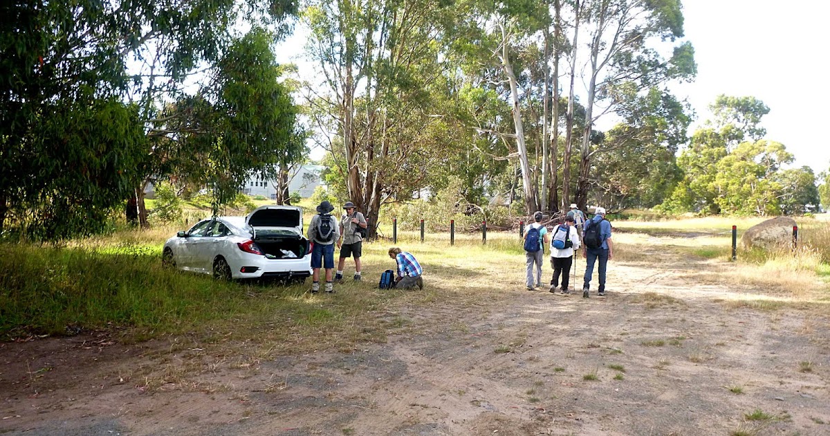 Ramblings: Peter Murrell Reserve 2019