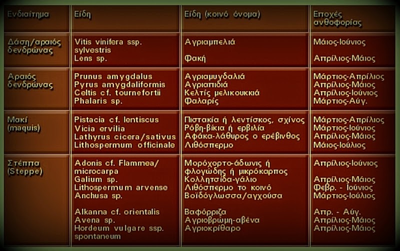 ΙΣΤΟΡΙΑ ΕΛΛΗΝΙΚΗ ΚΑΙ ΠΑΓΚΟΣΜΙΑ : ΝΕΟΛΙΘΙΚΗ ΕΠΟΧΗ ΣΤΟΝ ΕΛΛΑΔΙΚΟ ΧΩΡΟ