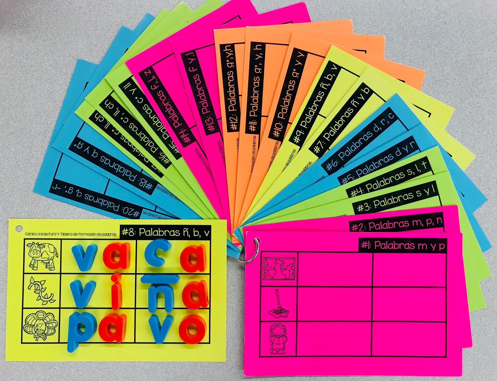 Camino a la lectura | Dual Language Rainbow