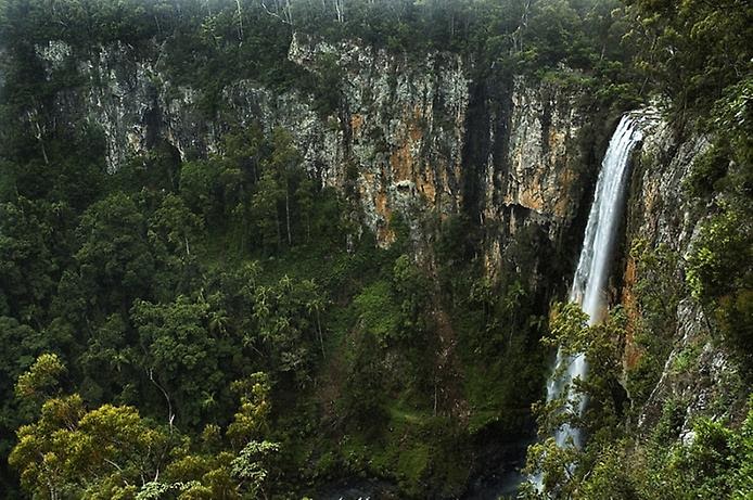 Springbrook National Park, Australia (with Map & Photos)