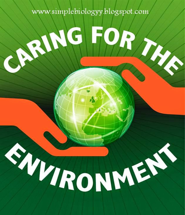 PROTECTION AND CONSERVATION OF ENVIRONMENT « SimpleBiology